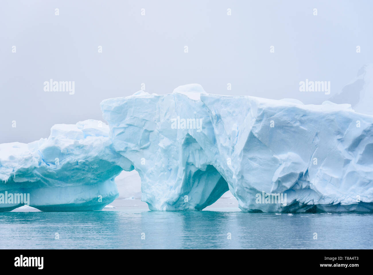 Beautiful turquoise blue iceberg floating in the Antarctic, against a ...