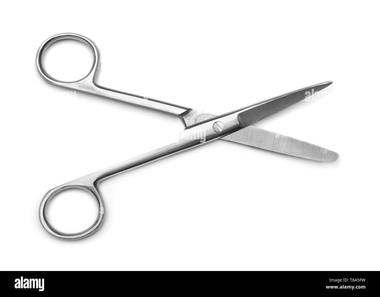 Dentist's scissors on white background Stock Photo - Alamy