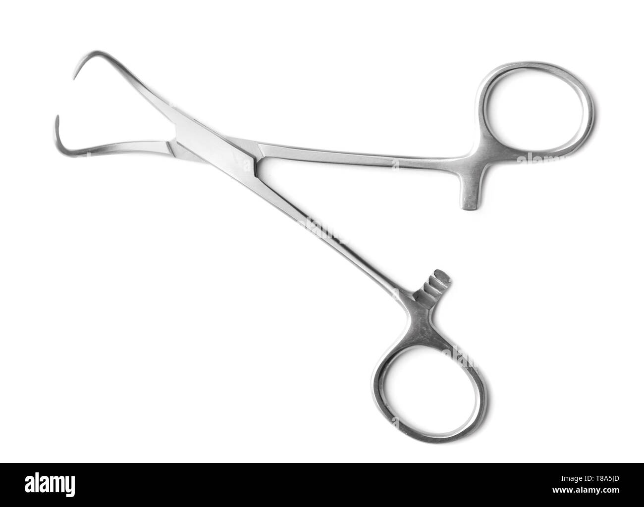Dentist's forceps on white background Stock Photo - Alamy
