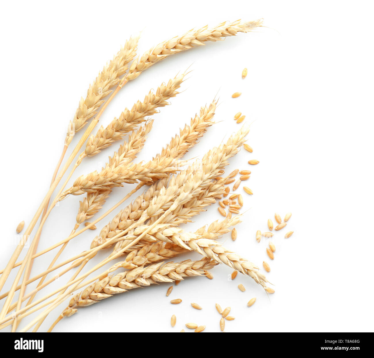 Wheat grains with spikelets on white background Stock Photo - Alamy