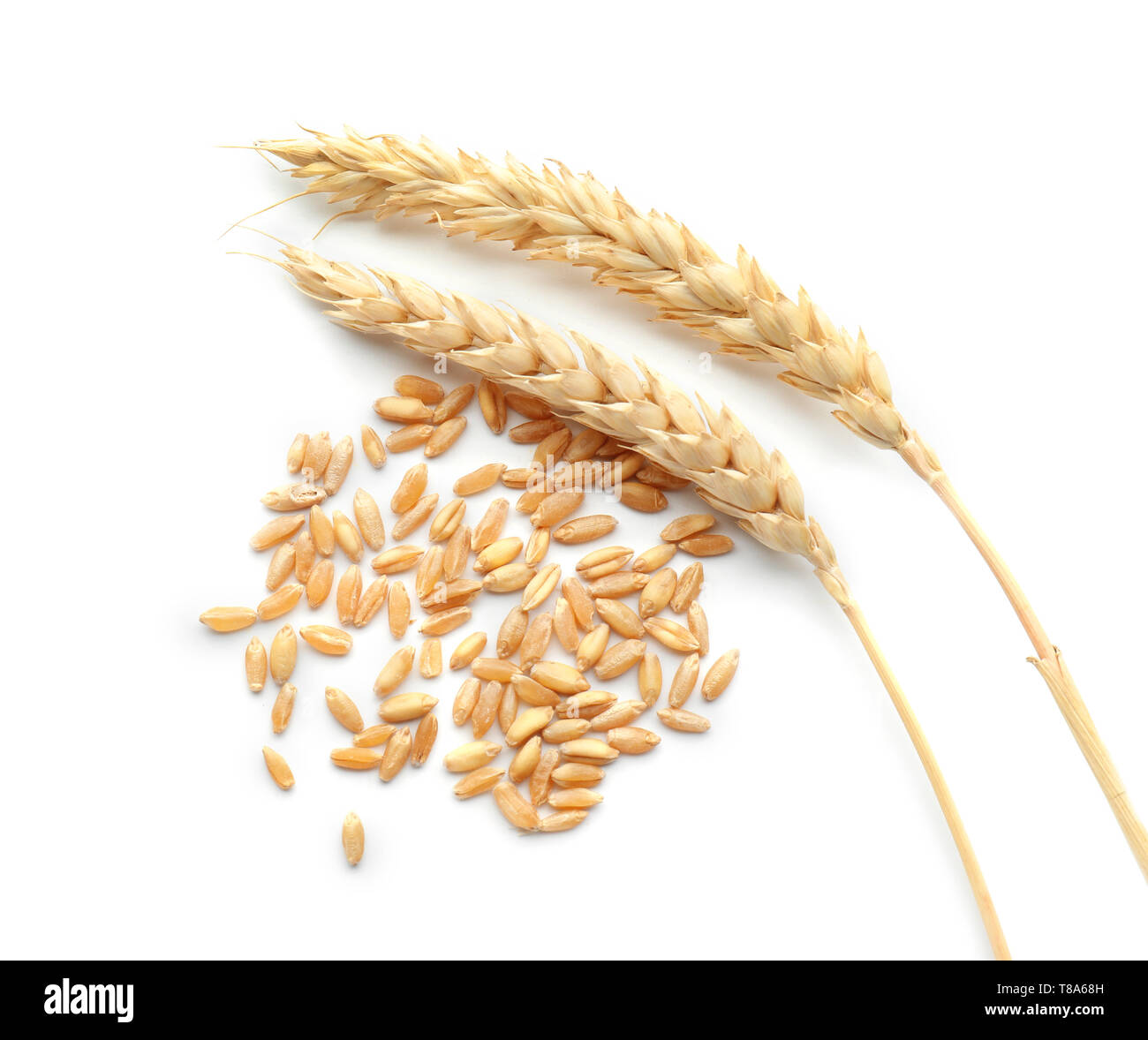 Wheat grains with spikelets on white background Stock Photo - Alamy