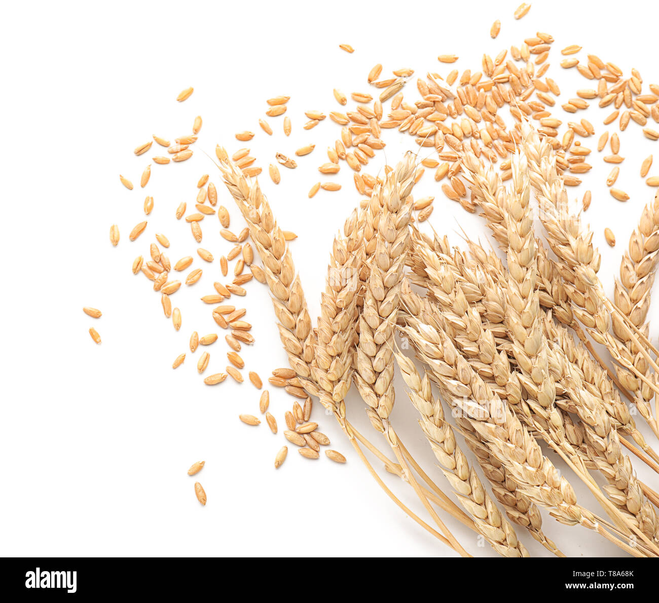 Wheat grains with spikelets on white background Stock Photo - Alamy