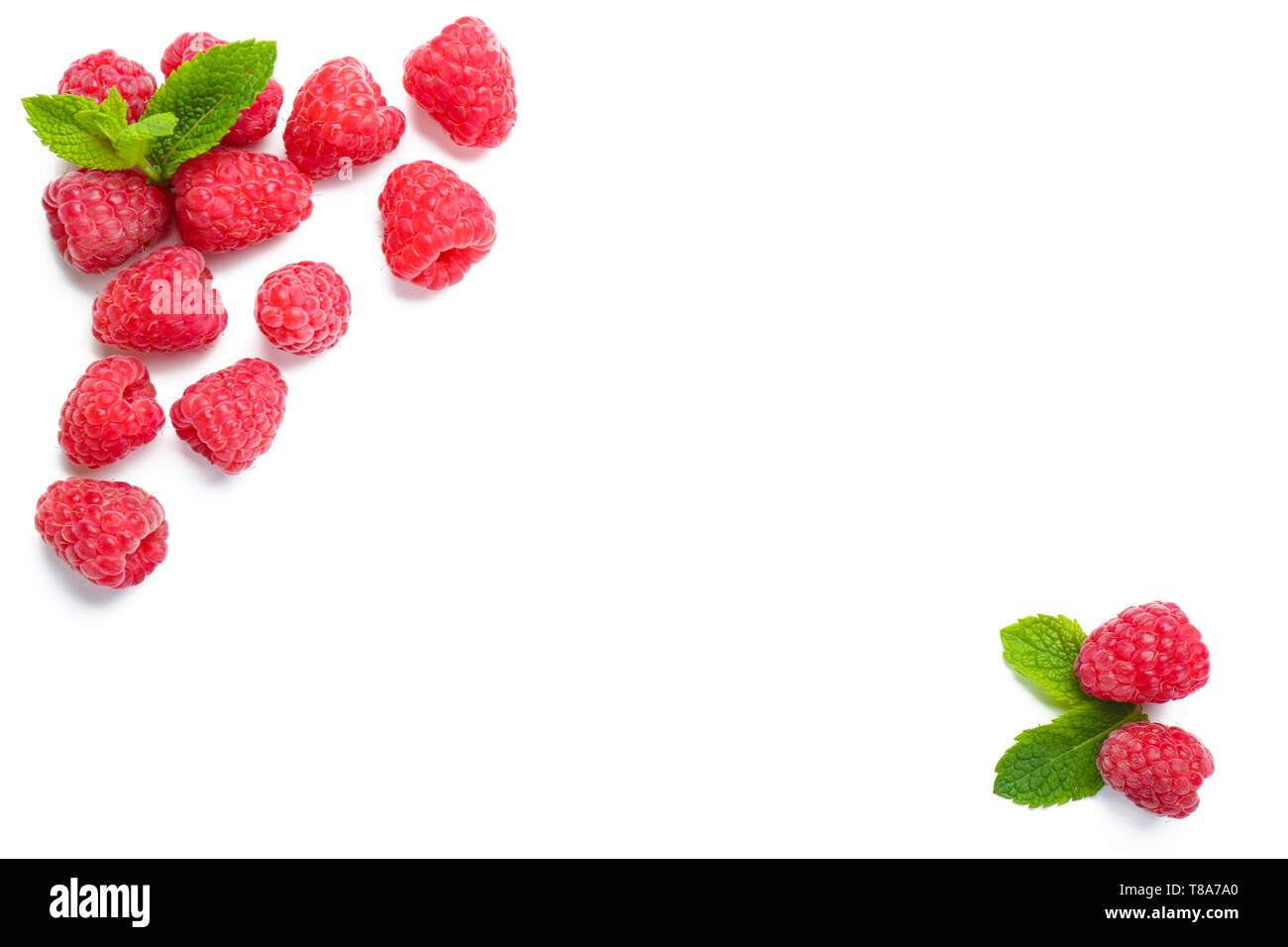 Delicious ripe raspberries with mint on white background Stock Photo ...