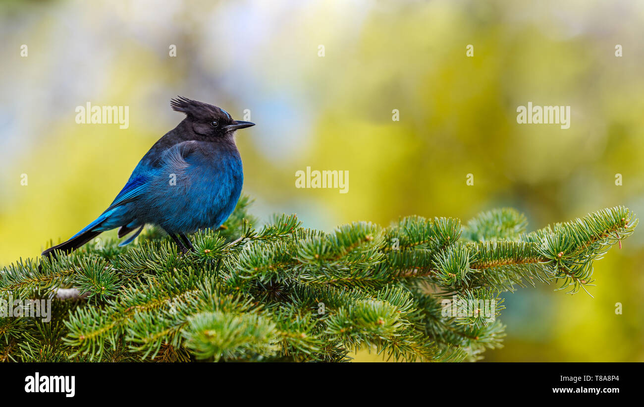 16 9 aspect ratio hi-res stock photography and images - Alamy