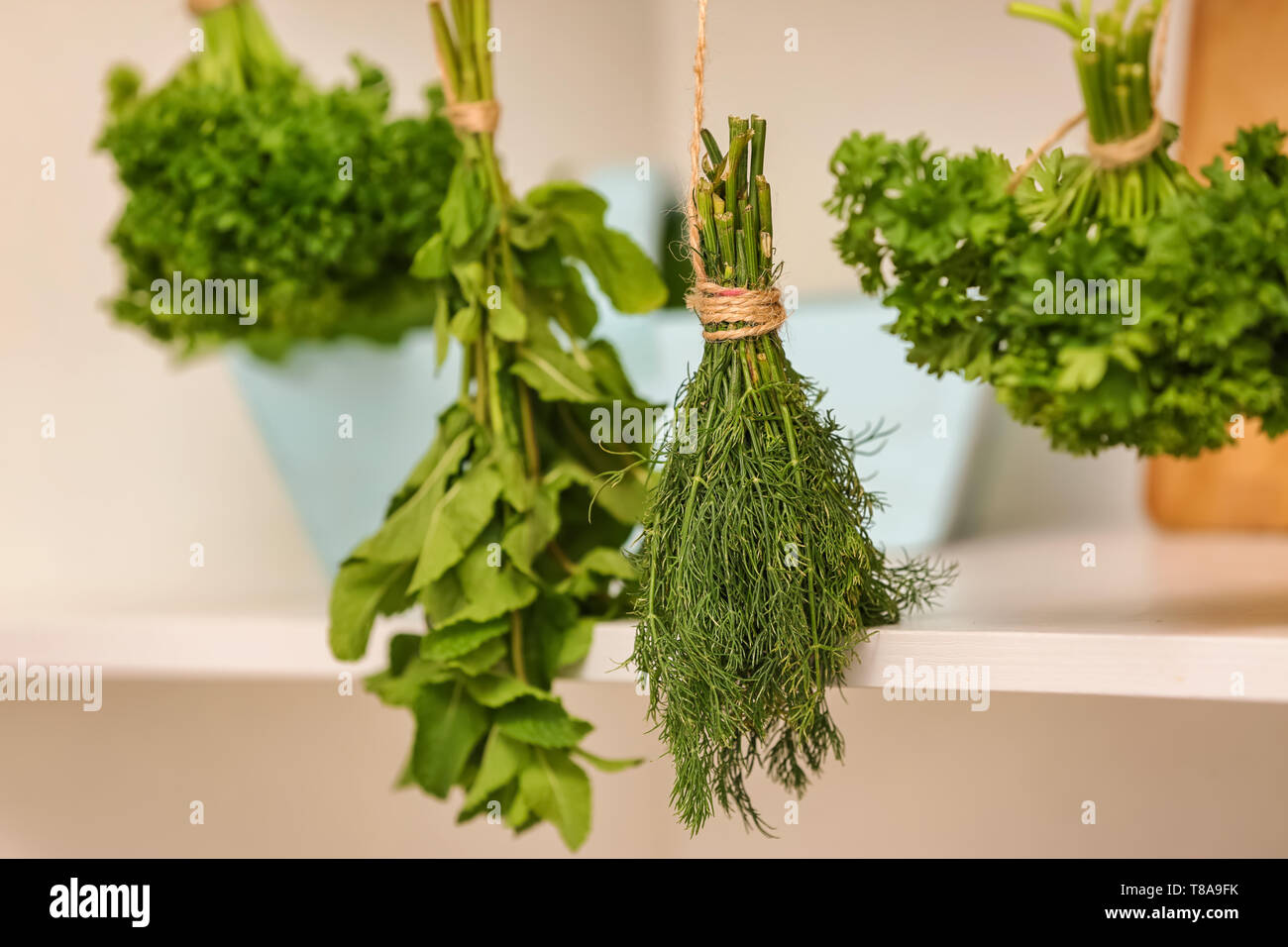 Fresh dill hanging on string Stock Photo - Alamy