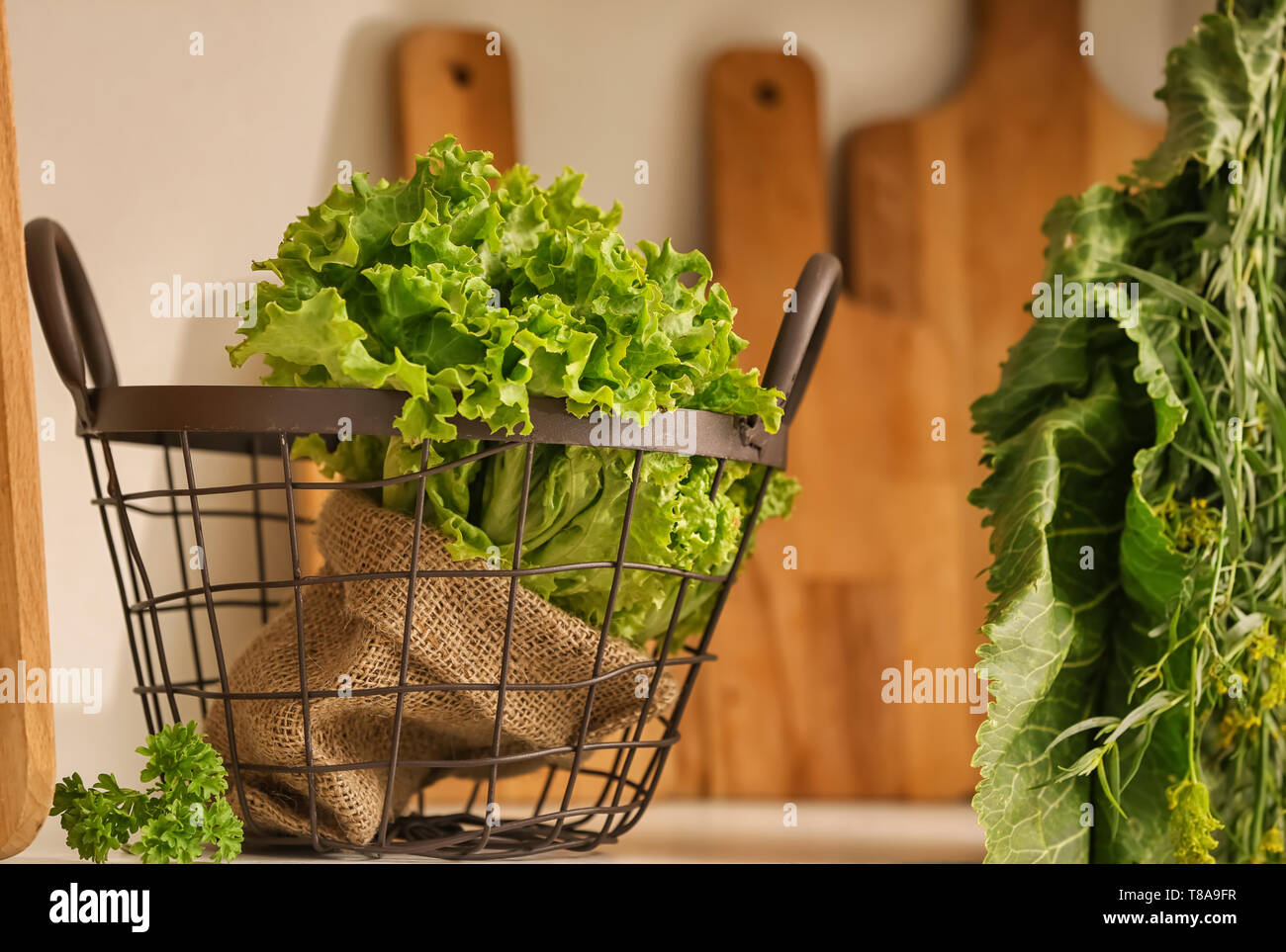 Hanging lettuce hi-res stock photography and images - Alamy