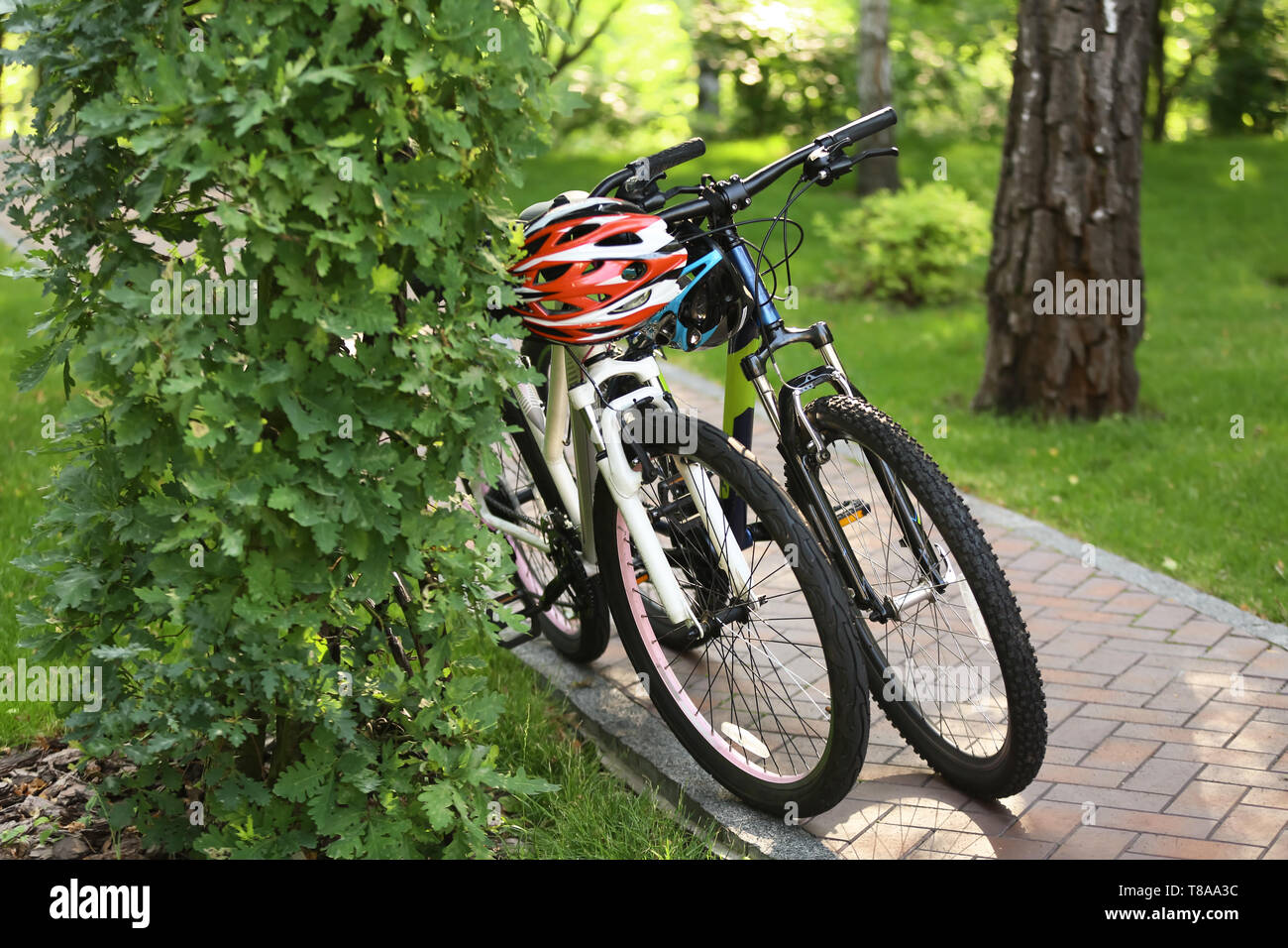 Modern bicycles in park on summer day Stock Photo - Alamy