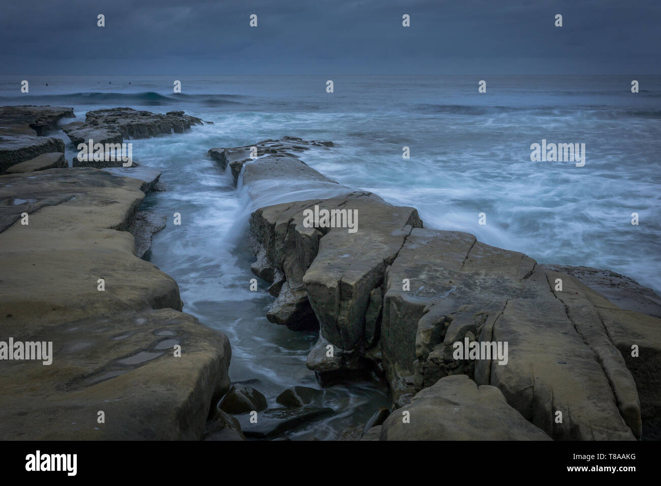 Springtime in full display along the California Coast in San Diego USA ...