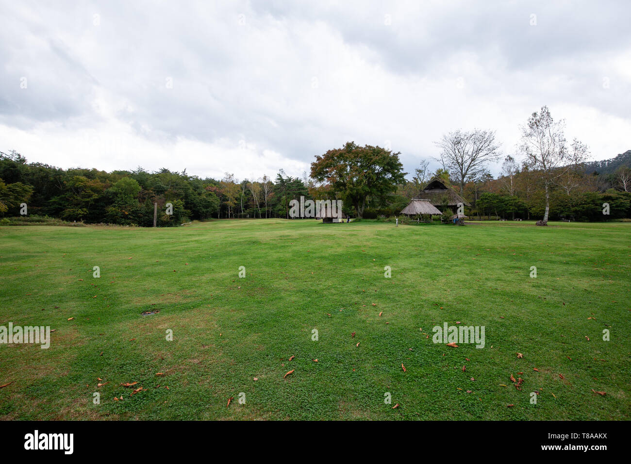 grass field in yamanashi japan Stock Photo - Alamy