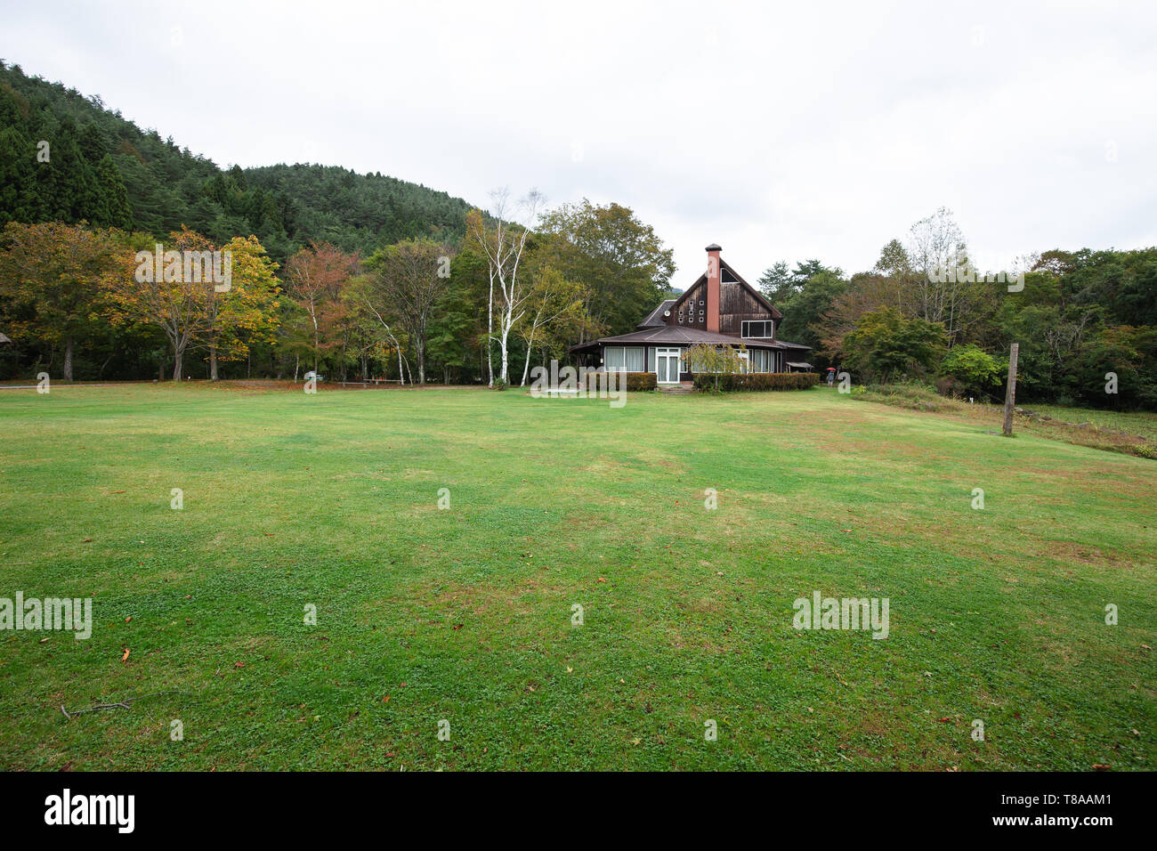 grass field in yamanashi japan Stock Photo - Alamy