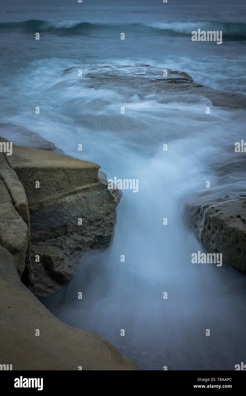 Springtime in full display along the California Coast in San Diego USA ...