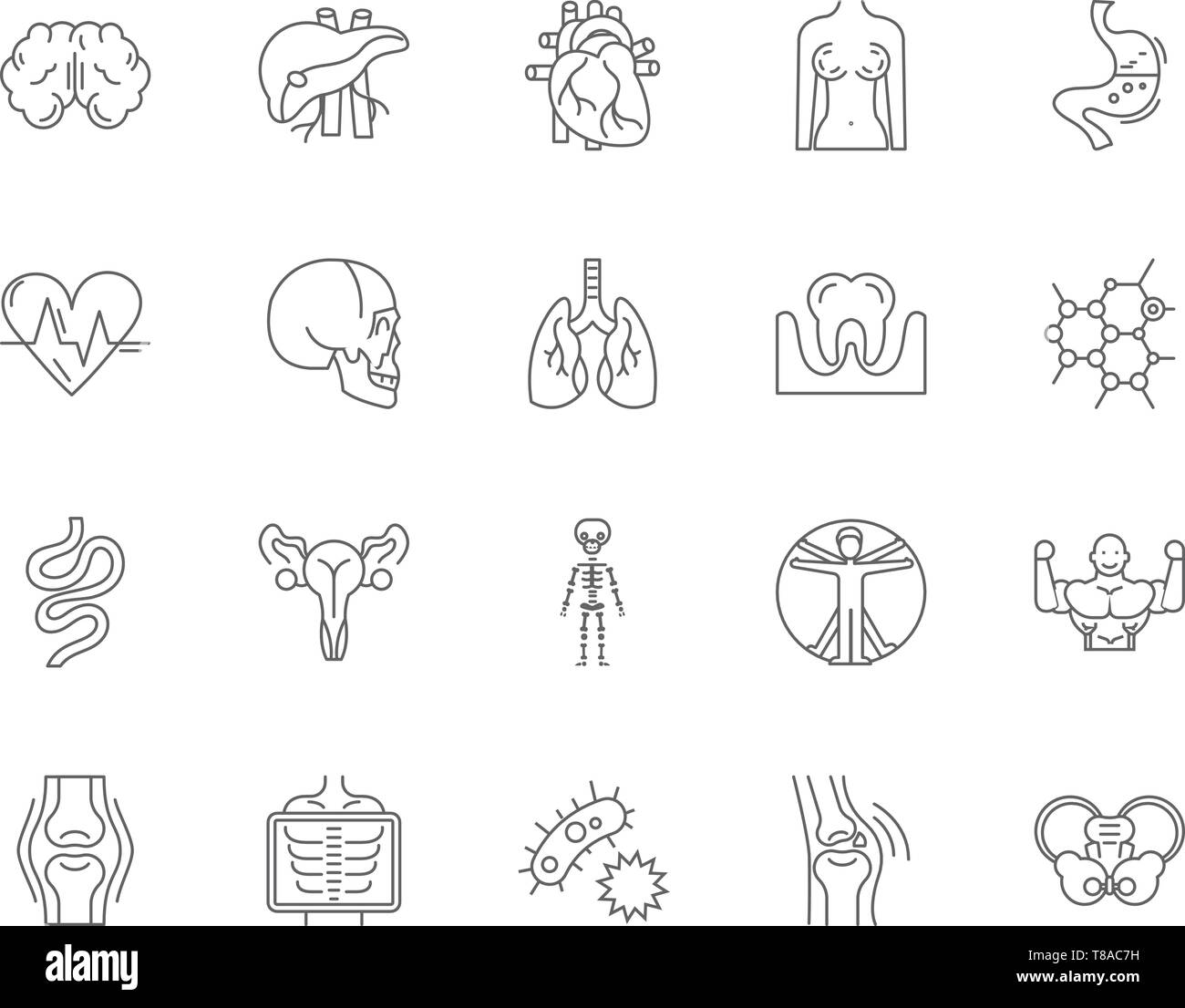 Anatomy line icons, signs, vector set, outline illustration concept ...