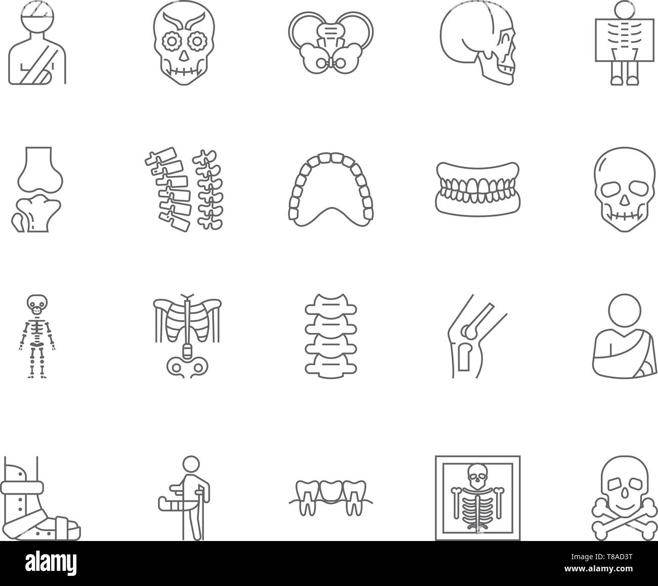 Bone line icons, signs, vector set, outline illustration concept Stock ...