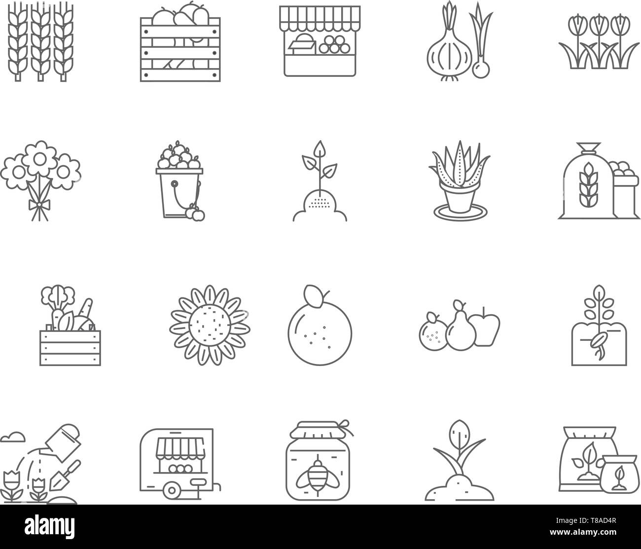 Botanical products line icons, signs, vector set, outline illustration ...