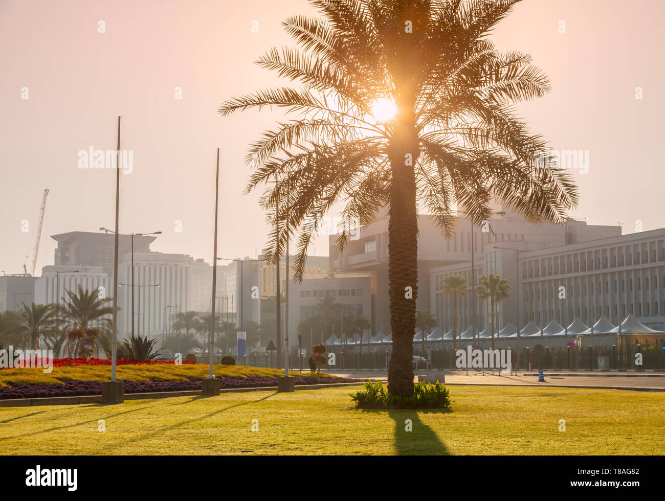 Palm island doha hi-res stock photography and images - Alamy