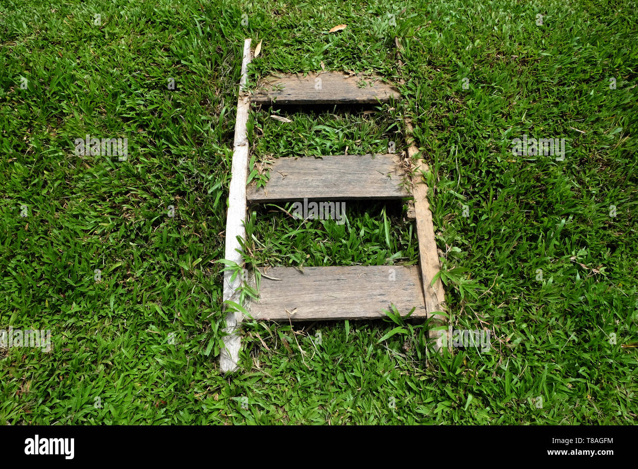 The way path in outdoor green grass park Stock Photo - Alamy