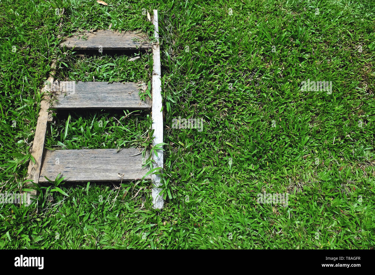 The way path in outdoor green grass park Stock Photo - Alamy