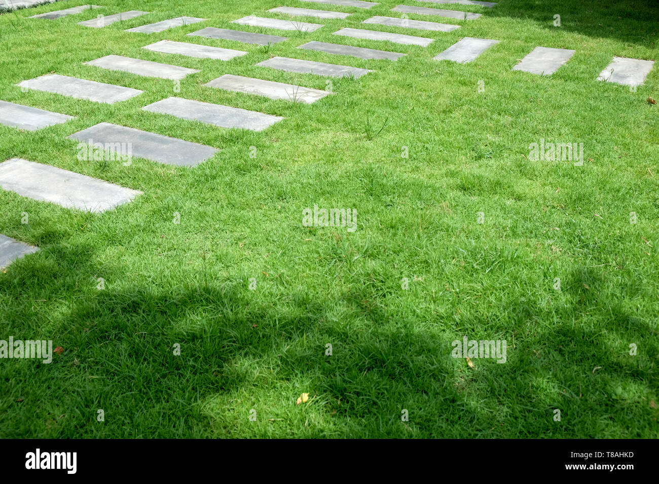 The way path in outdoor green grass park Stock Photo - Alamy
