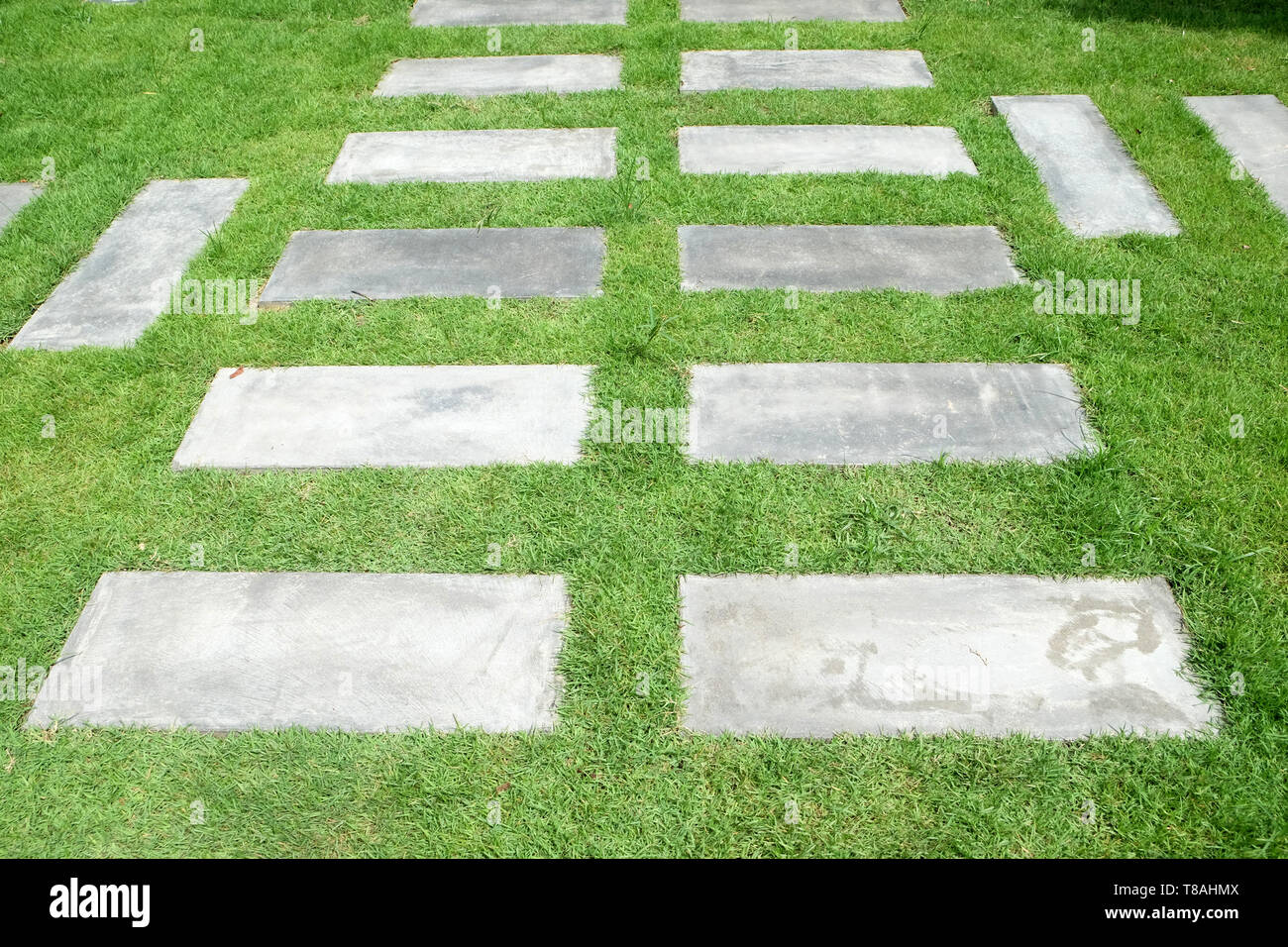 The way path in outdoor green grass park Stock Photo - Alamy