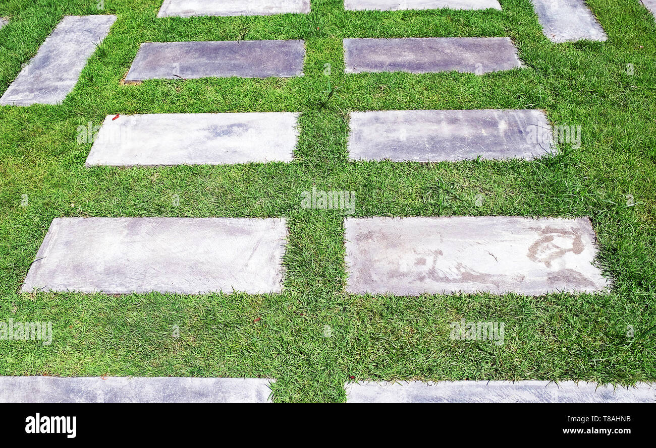 The way path in outdoor green grass park Stock Photo - Alamy