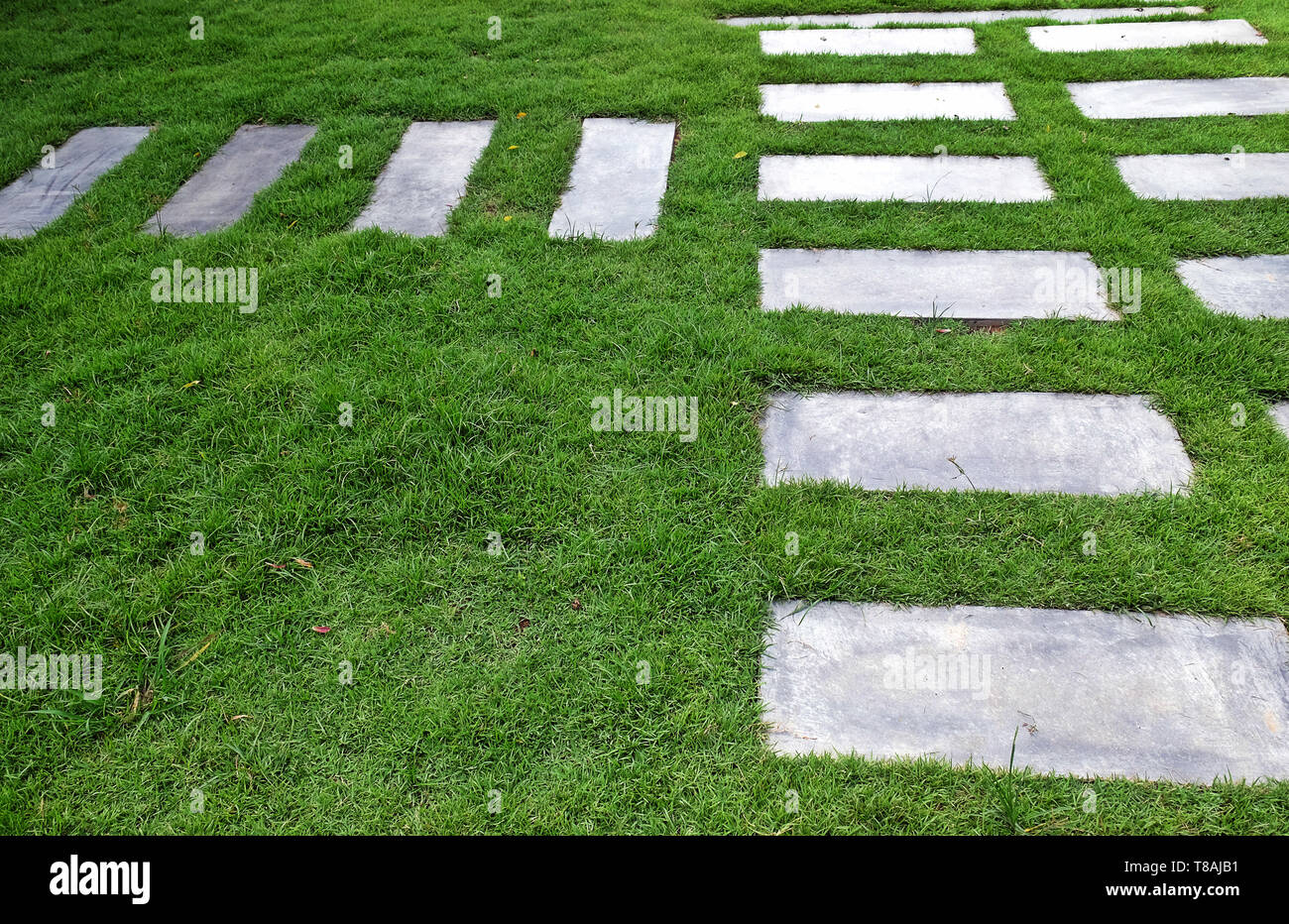 The way path in outdoor green grass park Stock Photo - Alamy