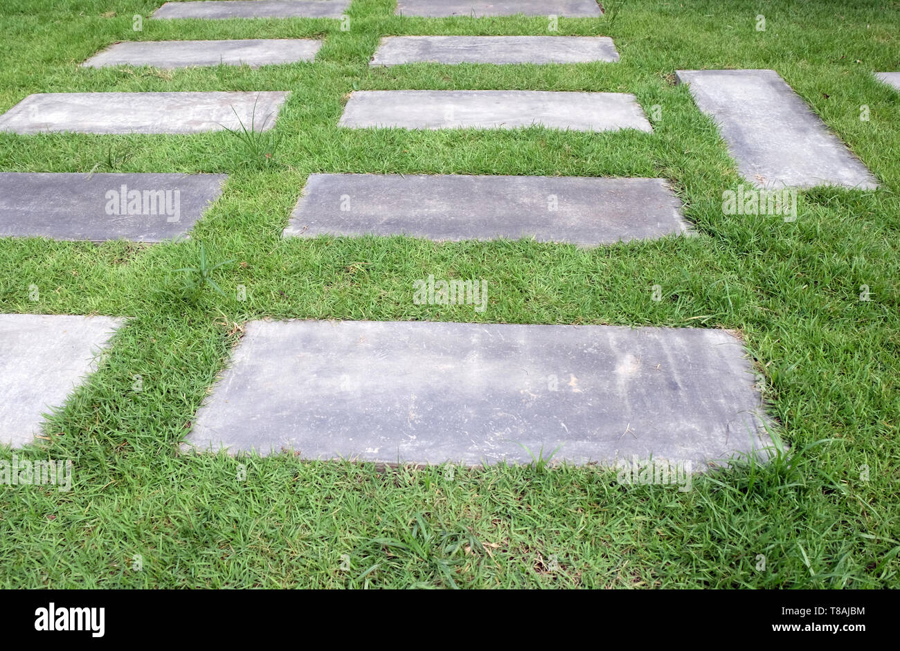 The way path in outdoor green grass park Stock Photo - Alamy
