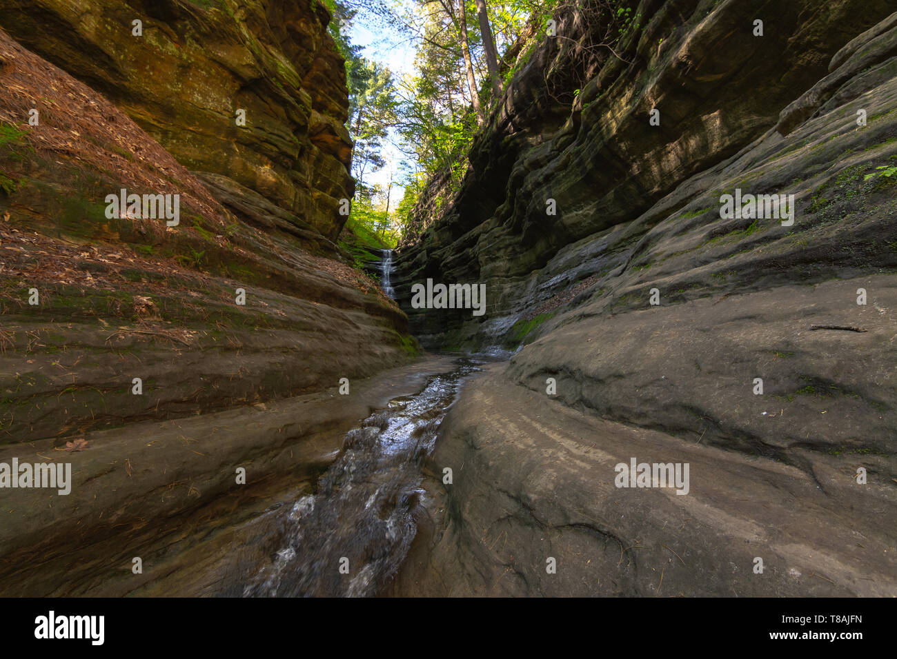 Water flowing through the canyon walls. French Canyon, Starved Rock ...