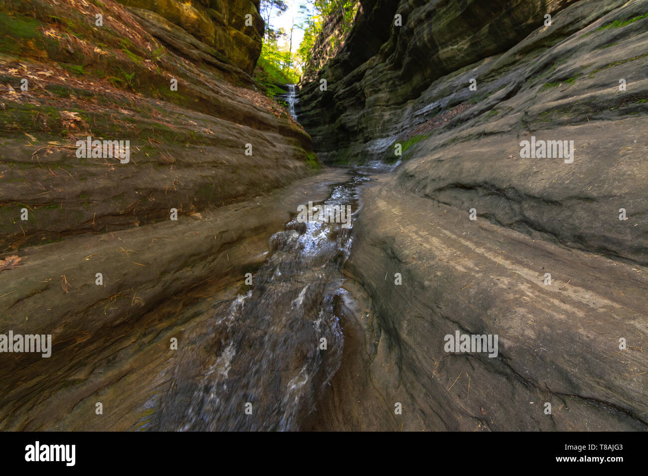 Water flowing through the canyon walls. French Canyon, Starved Rock ...