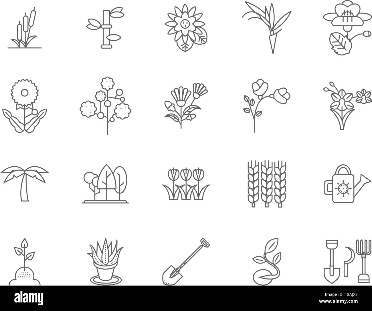 Floral line icons, signs, vector set, outline illustration concept ...