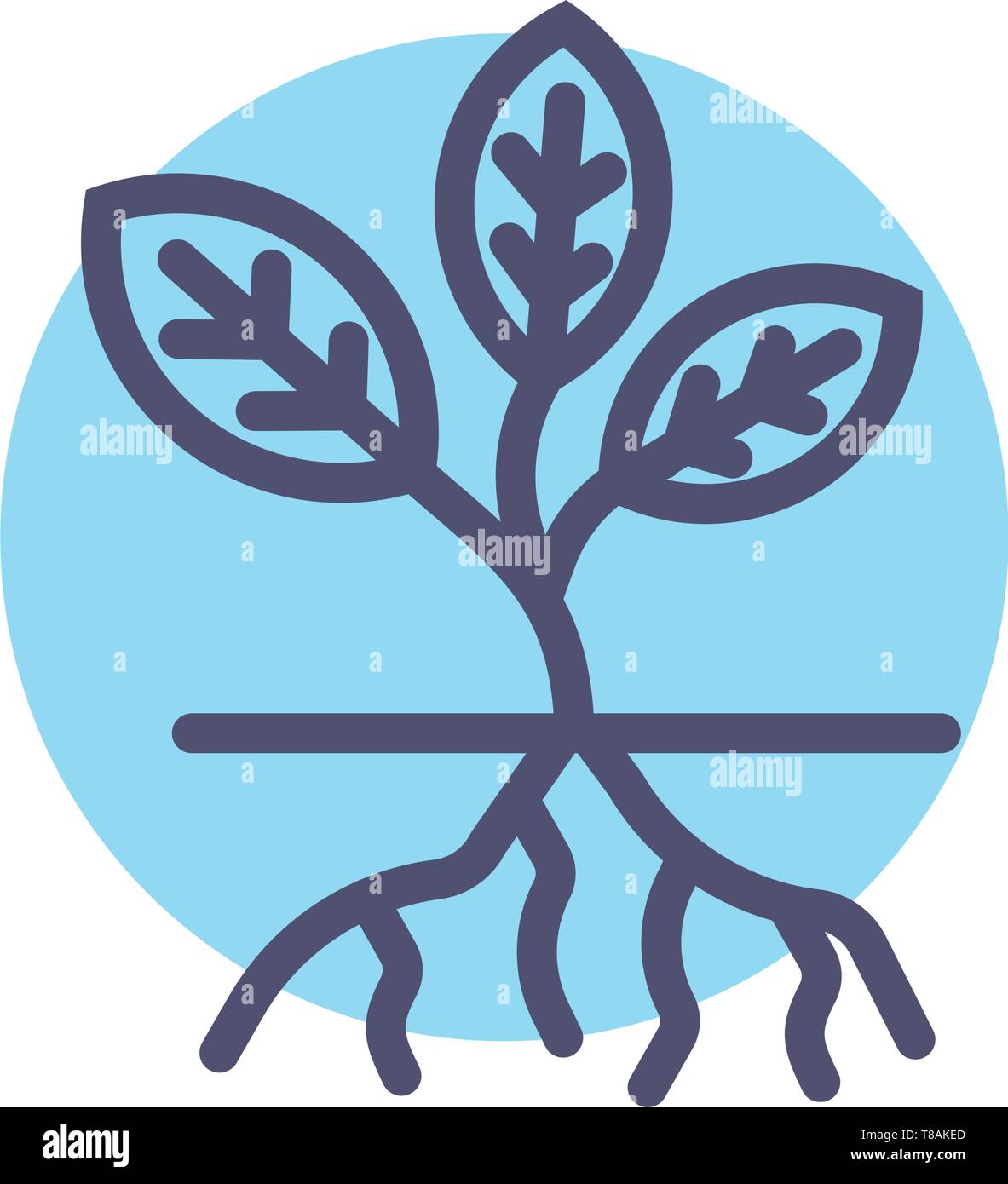 Smooth root Stock Vector Images - Alamy