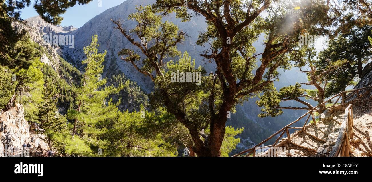 Terrain at the top of the Samarià Gorge, Crete Stock Photo - Alamy