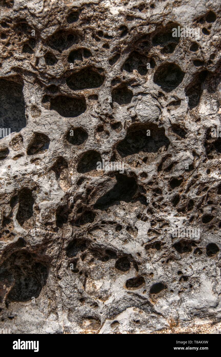 Devonian sandstone cliff hi-res stock photography and images - Alamy