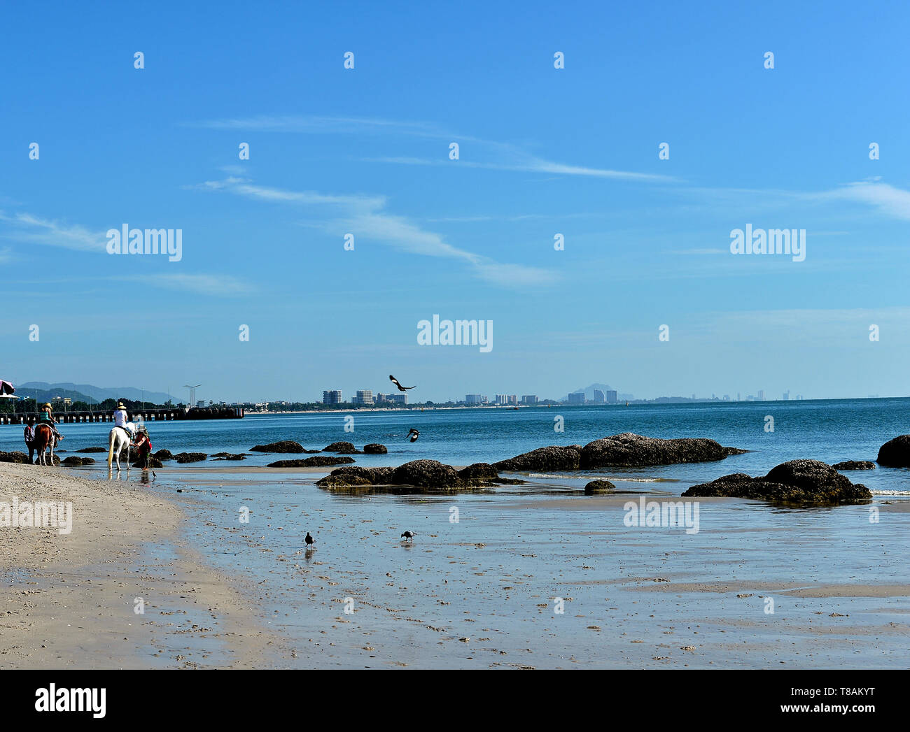 Tropical beach, summer sea sunny sky background Stock Photo - Alamy
