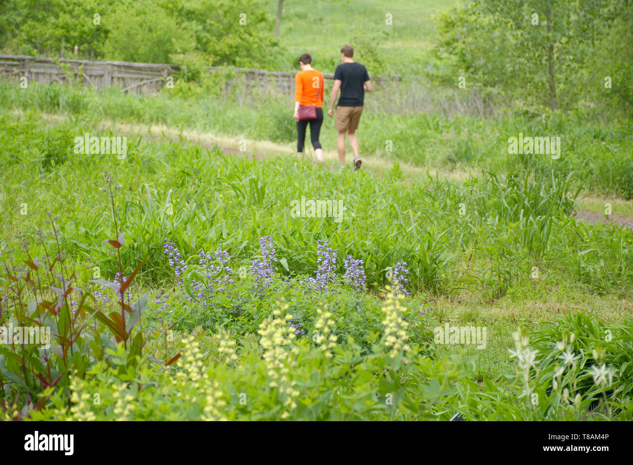 Couple walking together along path pathway hi-res stock photography and ...