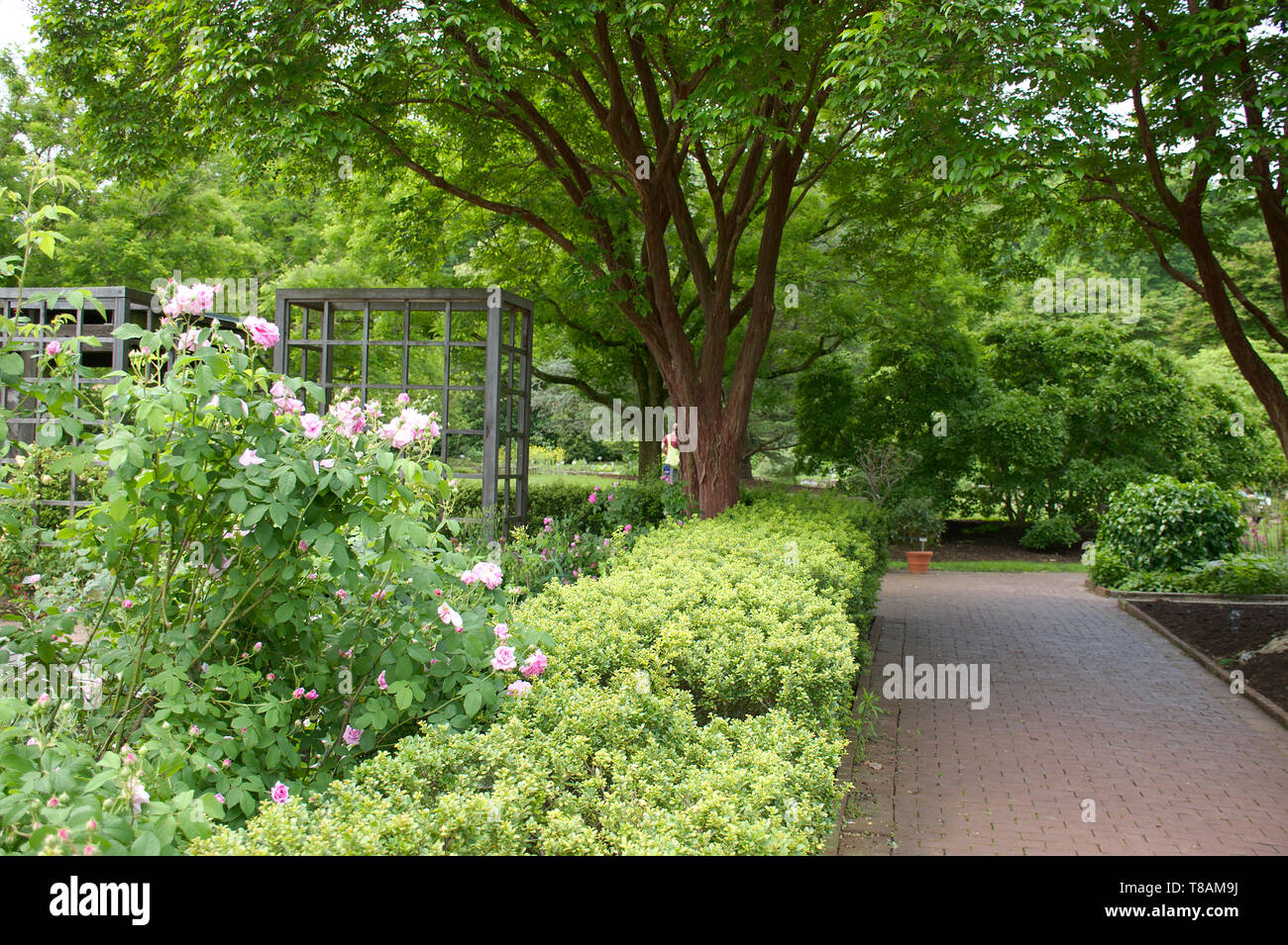 Cobbler brick path in Park Garden lined with flowers and hedges Stock ...
