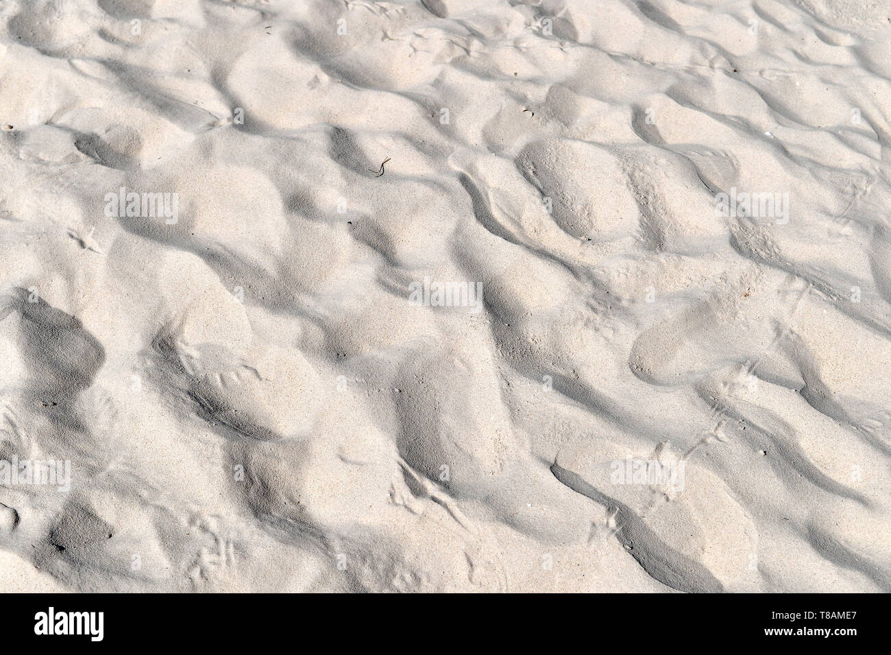 Beach Sand texture. Sandy sea for background Stock Photo - Alamy