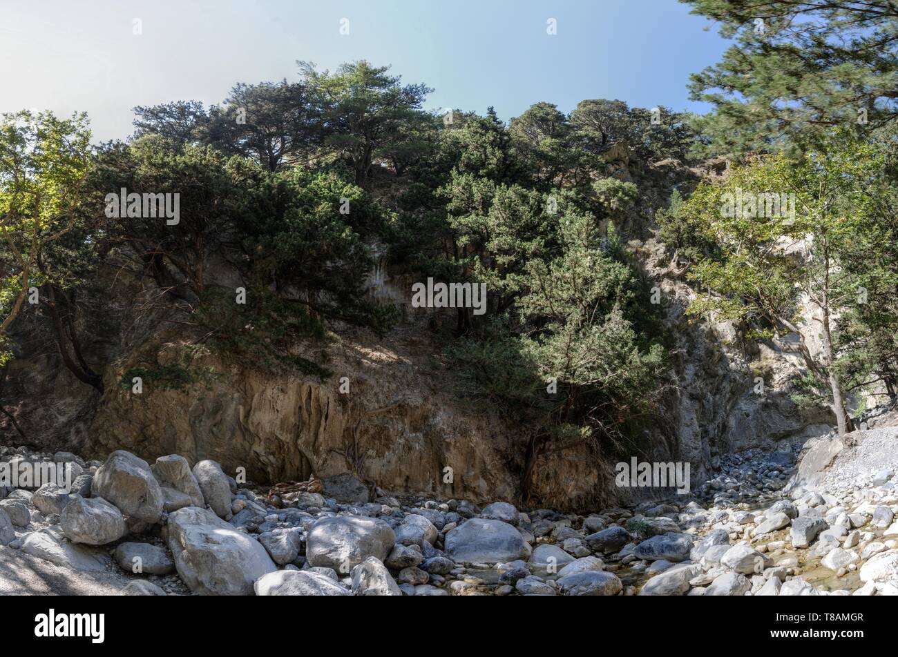 Semi arid mediterranean landscape hi-res stock photography and images ...