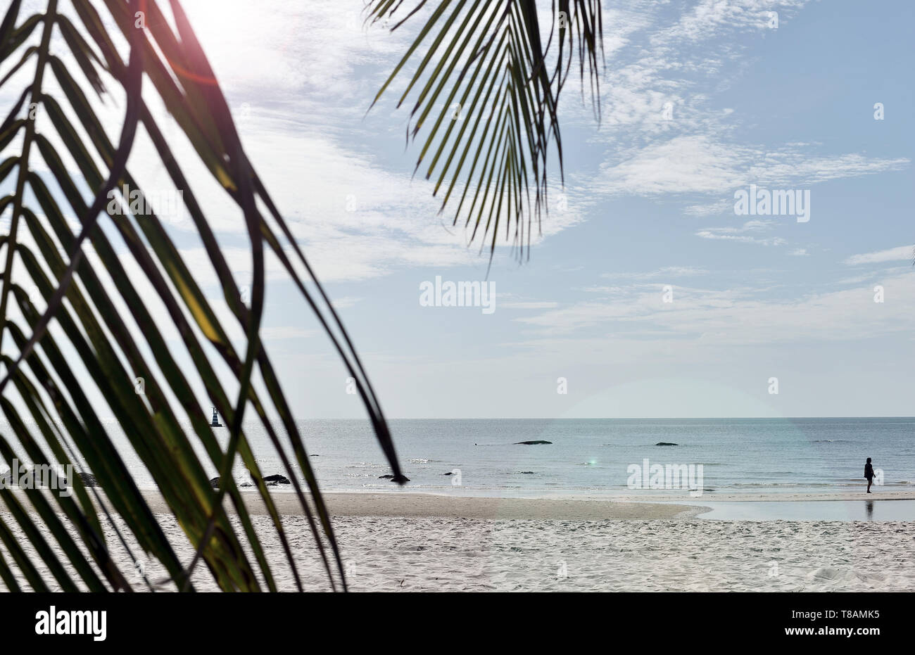 Tropical beach, summer sea sunny sky background Stock Photo - Alamy