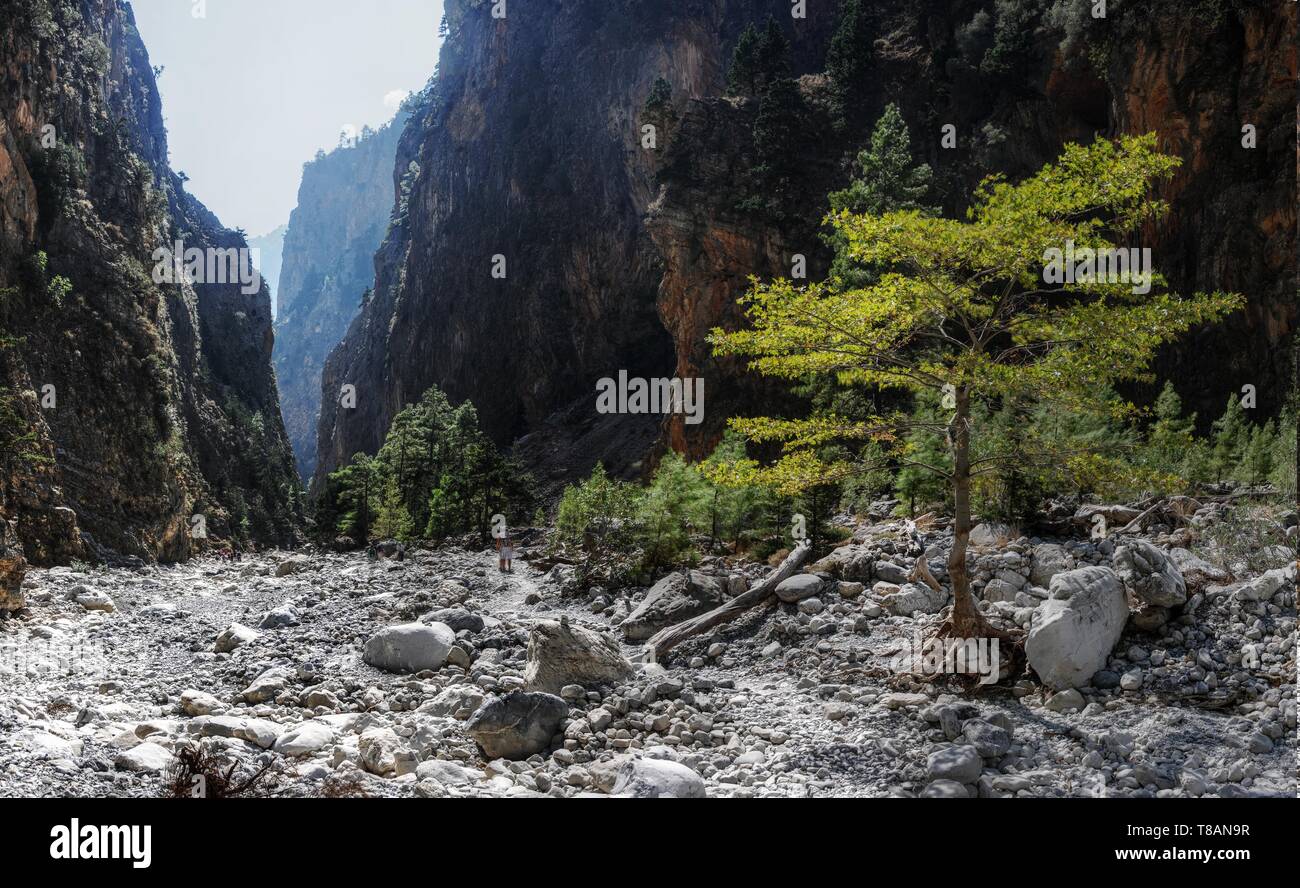 Approach to the "Iron Gates" in the Samaria Gorge, Crete Stock Photo ...
