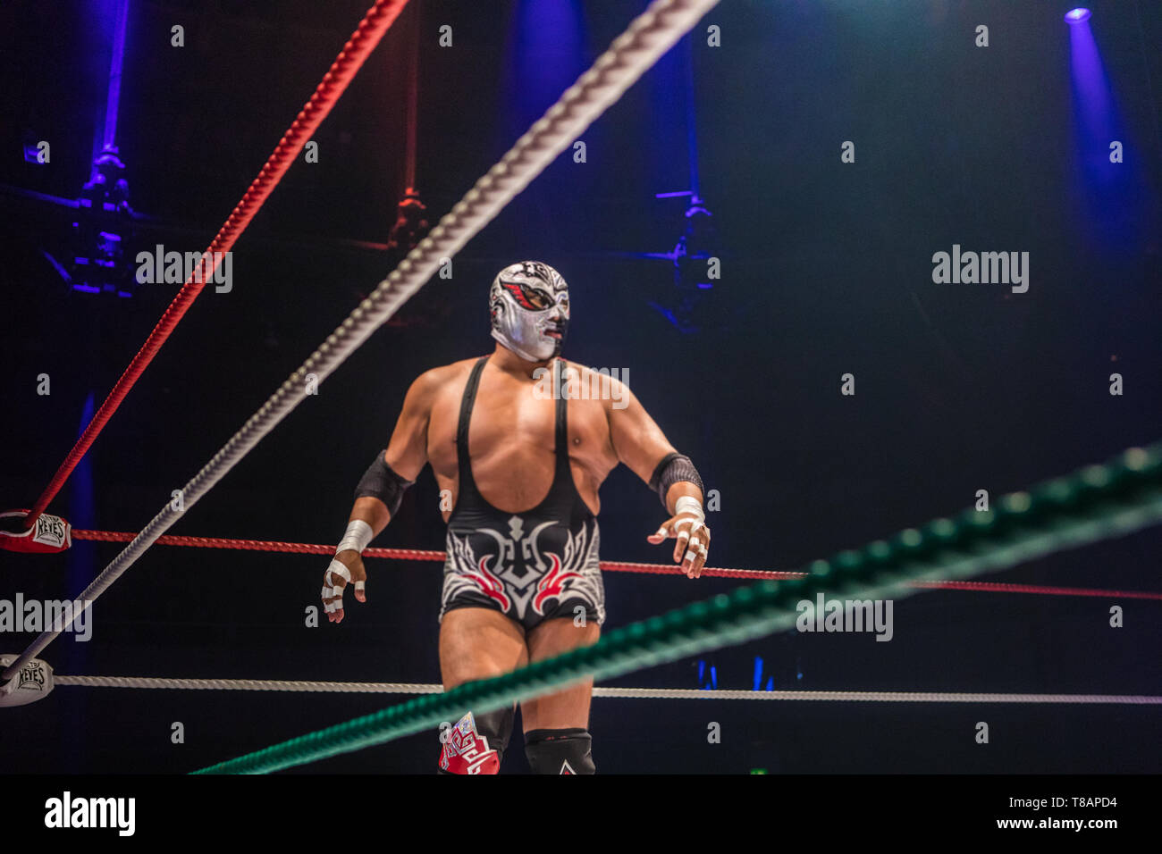 Silver King Wrestler