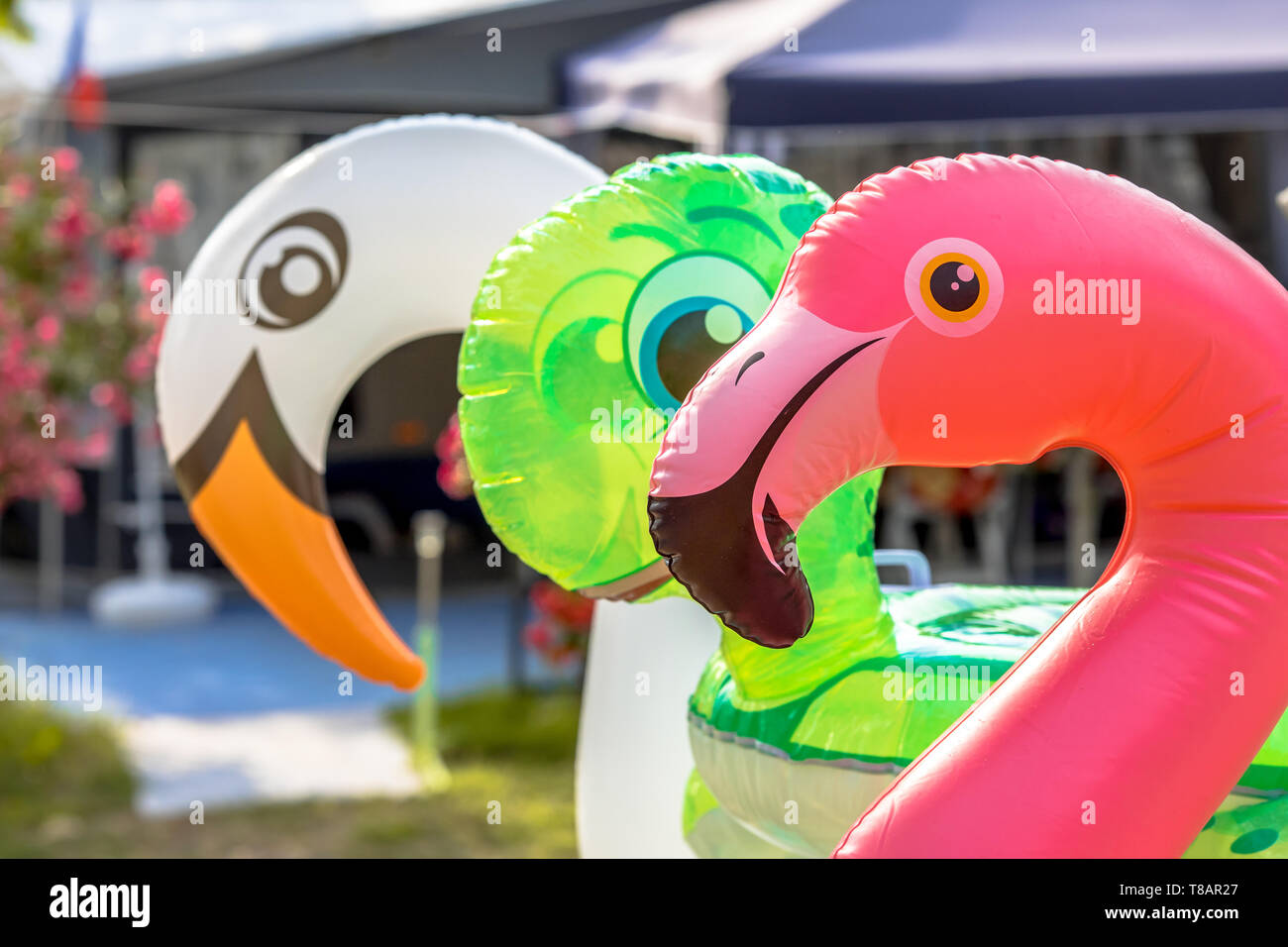 Three inflatable animal toys in a row ready for beach holiday in sunny ...