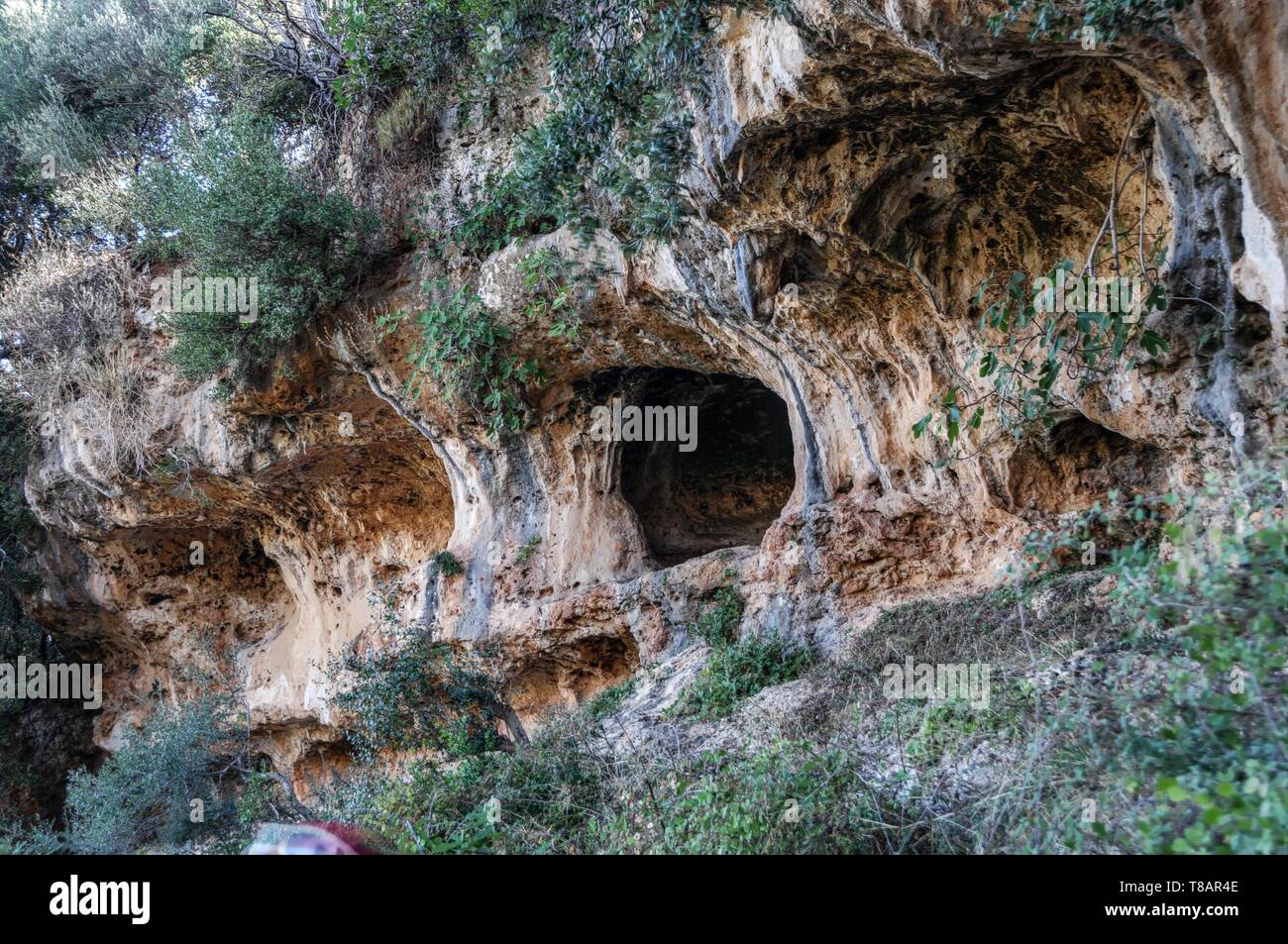 Pitted rock face in the Samaria Gorge, Crete Stock Photo - Alamy