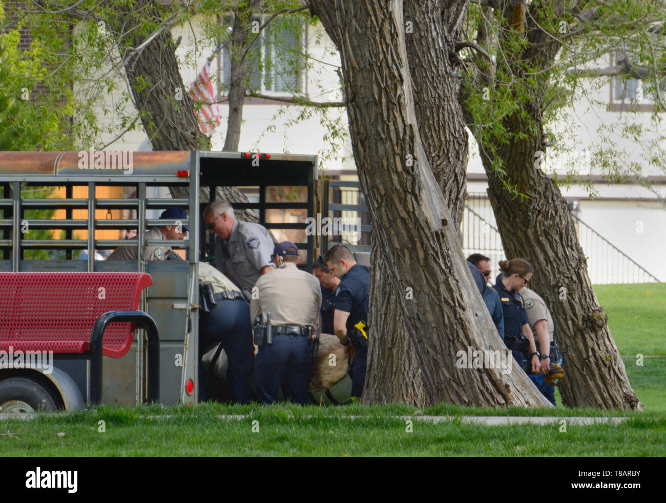 Colorado Parks and Wildlife, police and Arvada animal management police ...