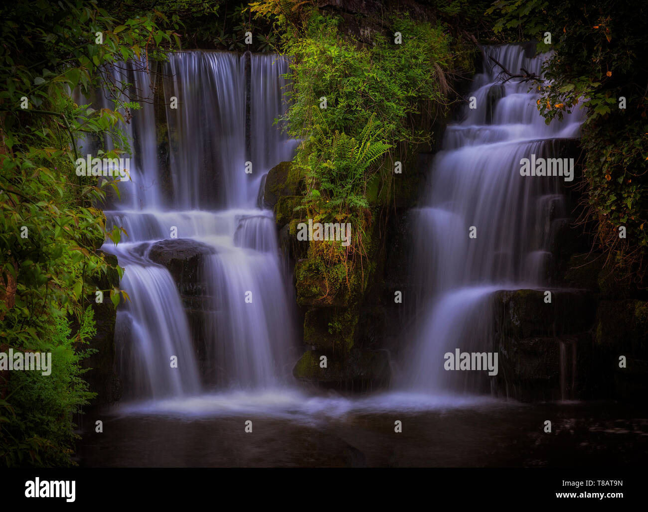 Penllergare waterfall hi-res stock photography and images - Alamy