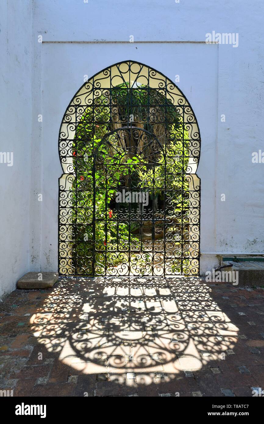 Tangier Morocco Garden High Resolution Stock Photography and Images - Alamy