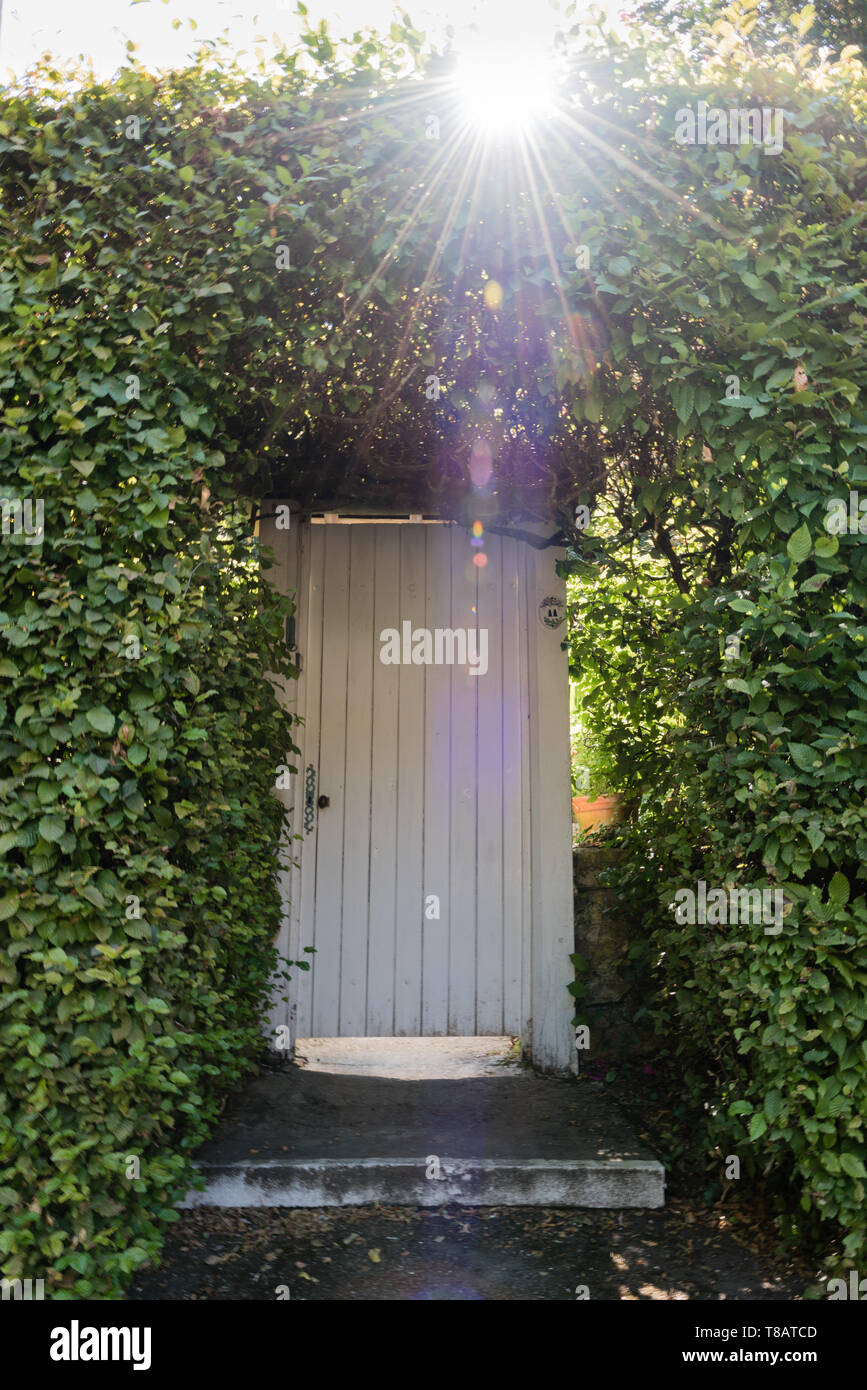 White door of the enchanted forest lost in the bushes hiding the sun ...
