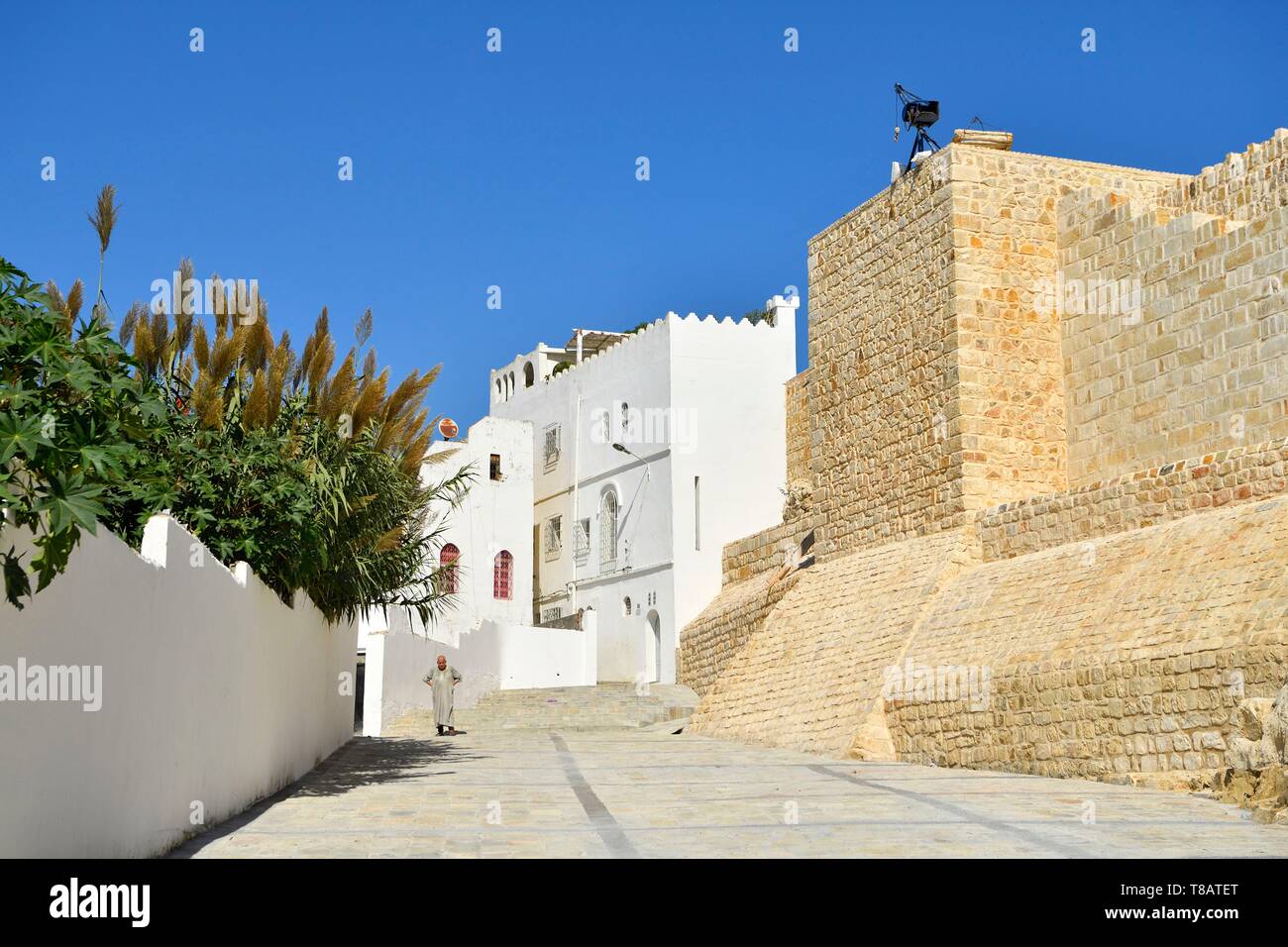Morocco, Tangier Tetouan region, Tangier, the old city (medina), Kasbah ...
