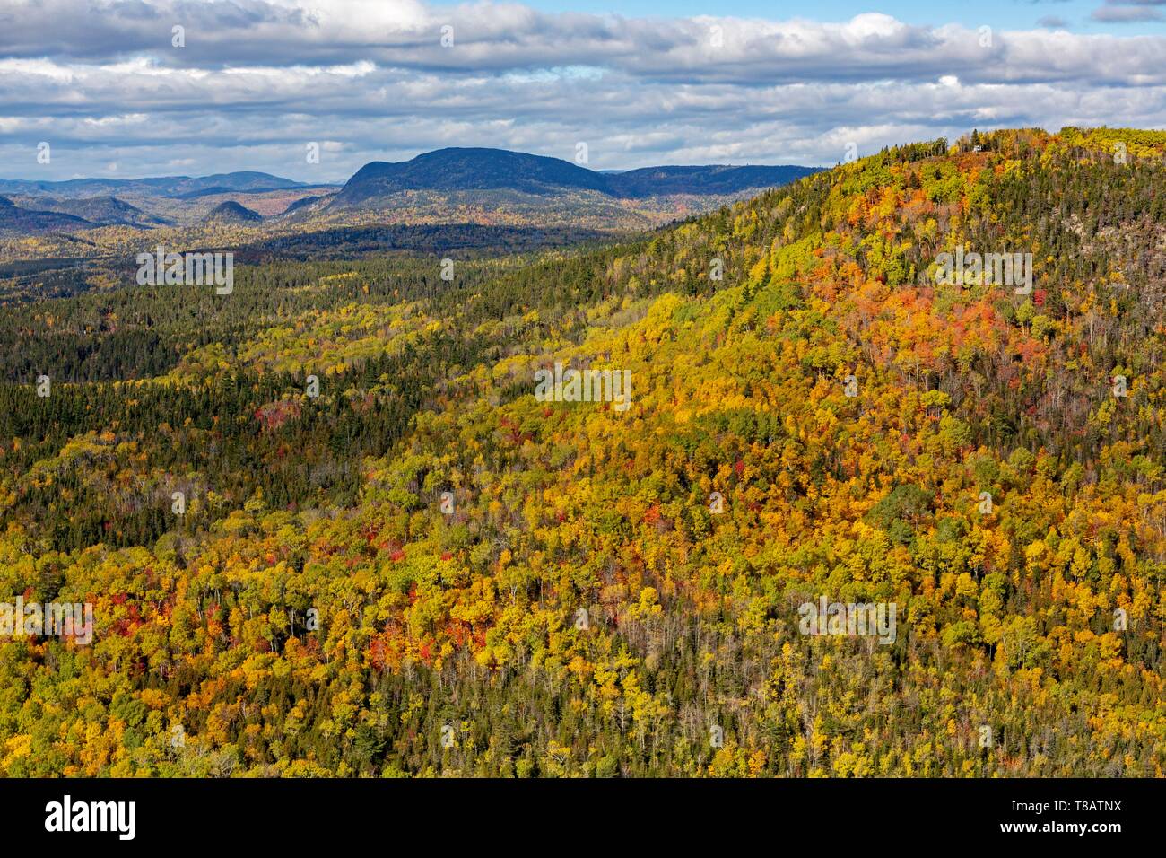 Boreal mountain hi-res stock photography and images - Alamy