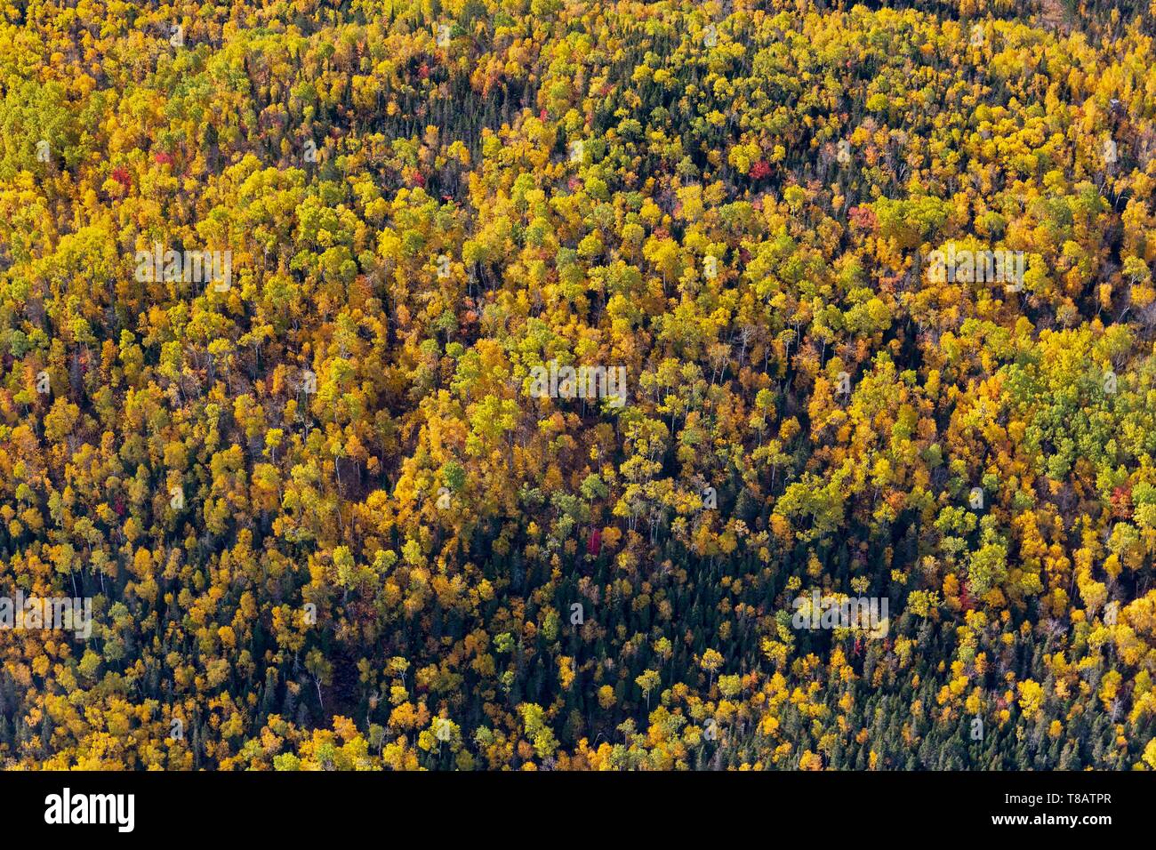 Canada, Province of Quebec, Saguenay-Lac-Saint-Jean Region, Saguenay ...