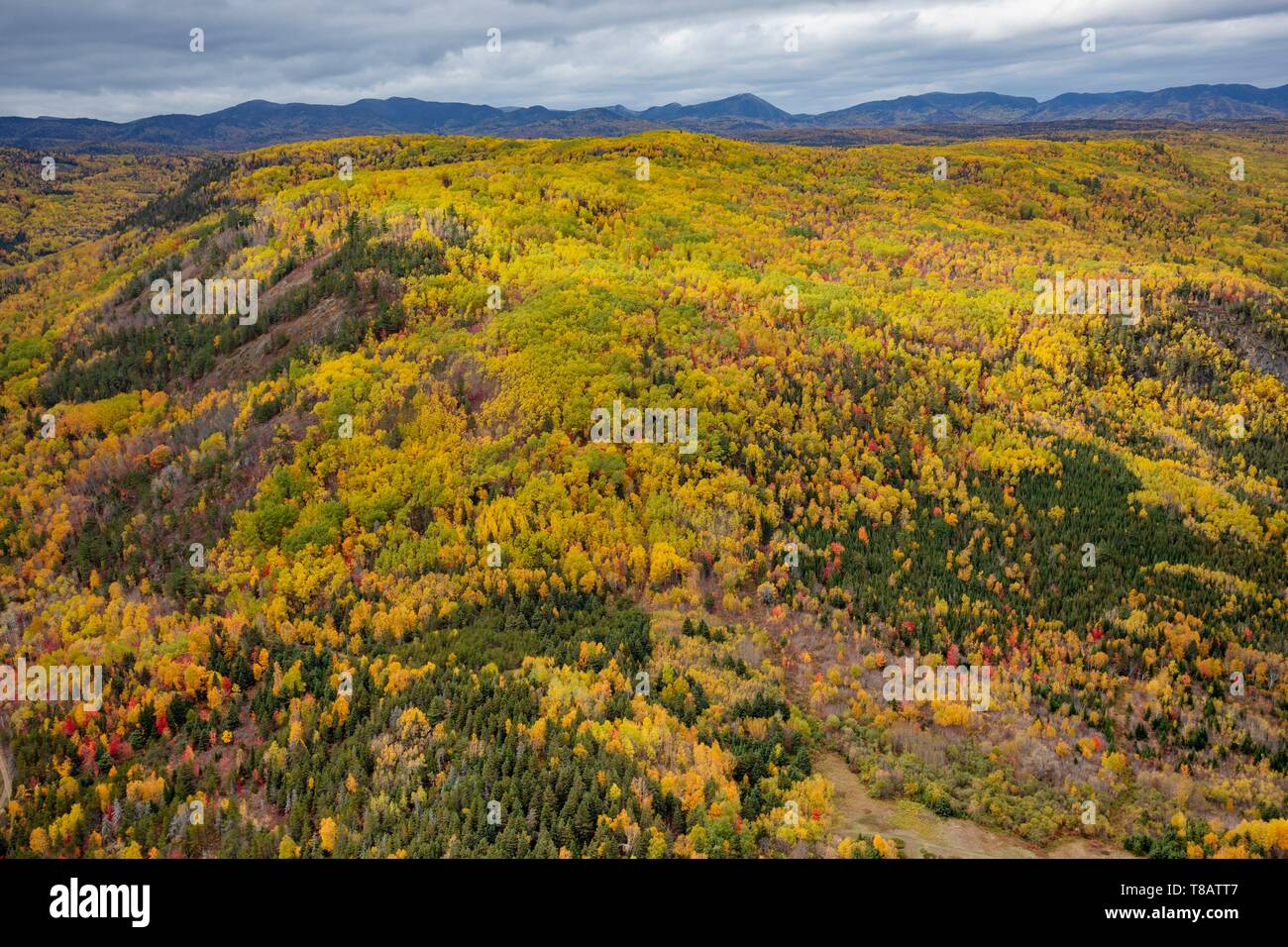 Canada, province of Quebec, the Charlevoix region from the sky, forest ...